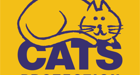 Current opportunities | Volunteer Cornwall CRM